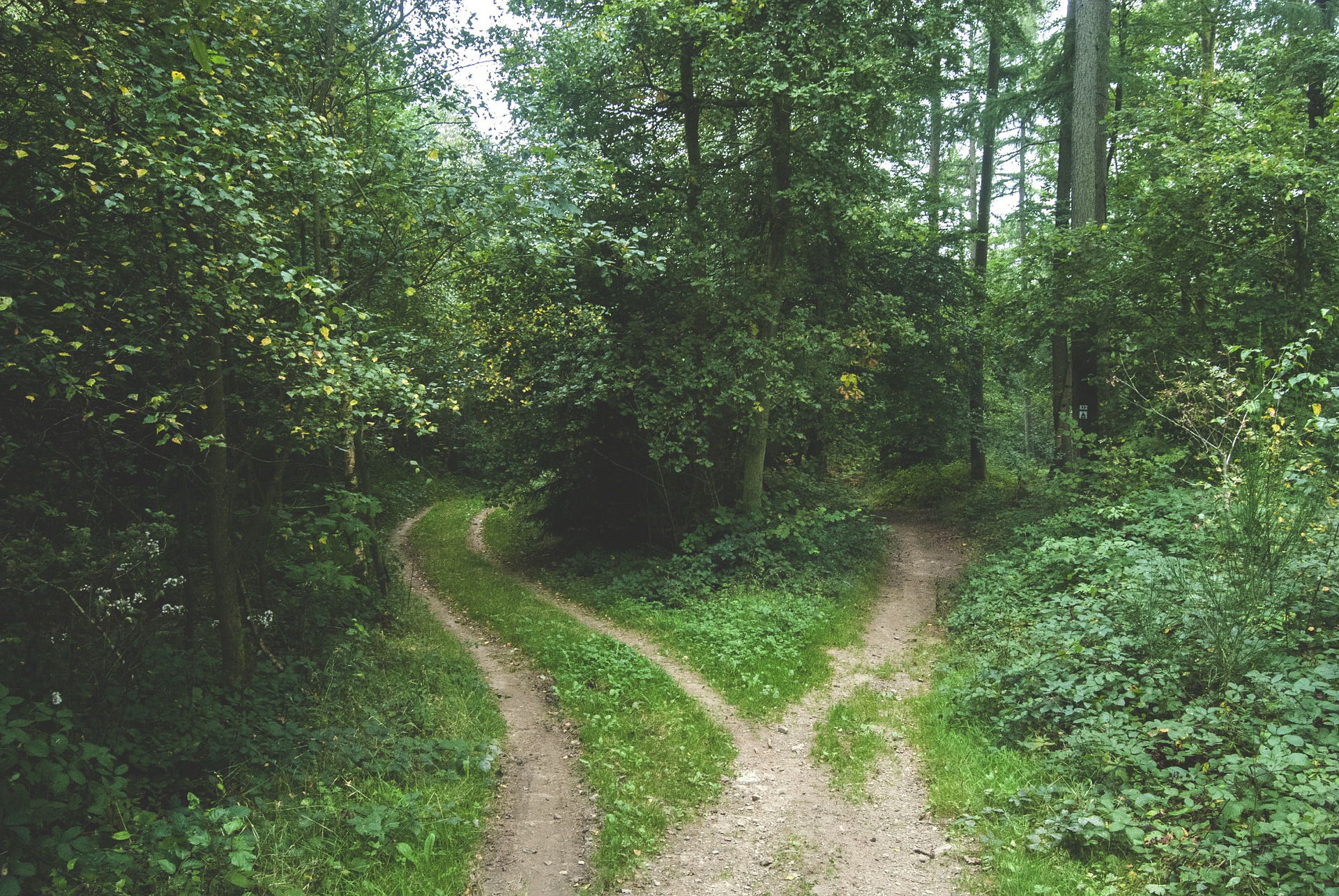 why i always take the path less traveled · Blog of Visnja Zeljeznjak ...